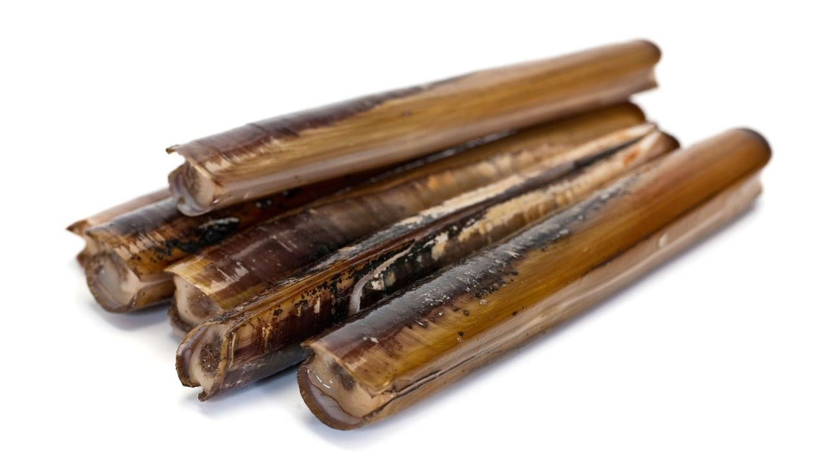 What are canned razor clams? | Colono
